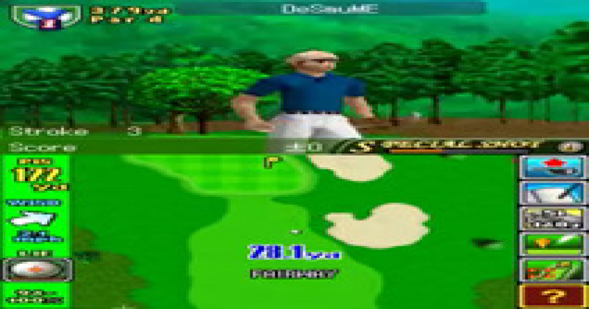 True Swing Golf (USA) (En,Ja,Fr,De,Es,It) emulator for Nintendo DS