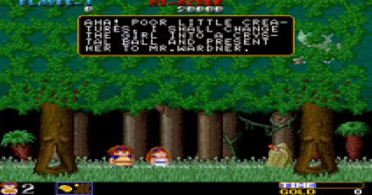 Wardner (World) emulator for Arcade / Mame