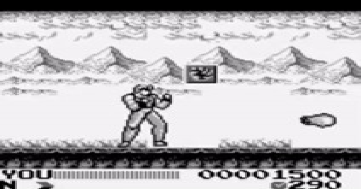 Fighting Simulator - 2-in-1 Flying Warriors emulator for GameBoy