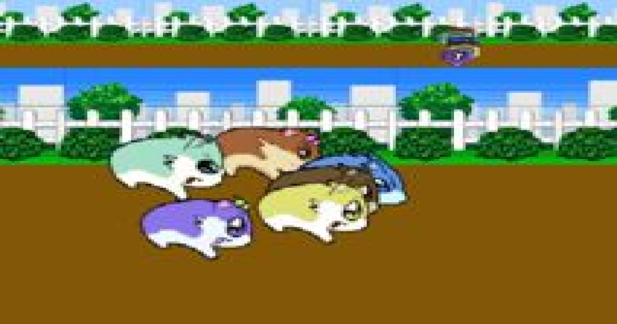 Hamster Monogatari 64 (Japan) emulator for Nintendo 64