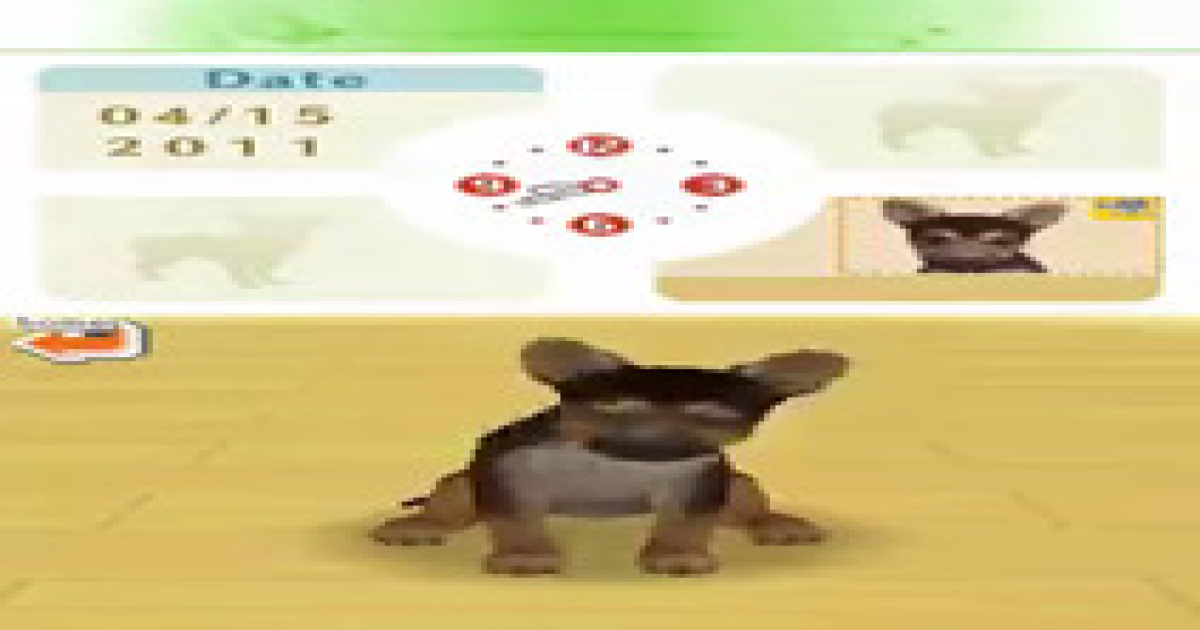 Nintendogs - Best Friends (USA) emulator for Nintendo DS