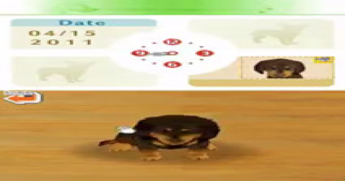 Nintendogs - Dachshund & Friends (USA) emulator for Nintendo DS