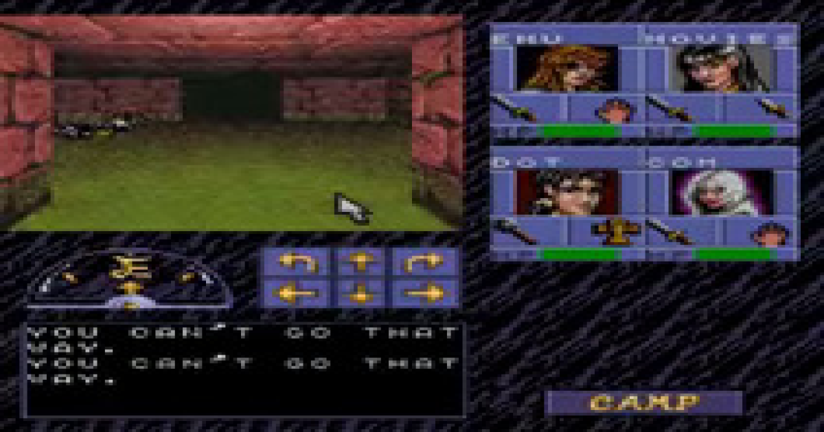 Advanced Dungeons & Dragons - Eye of the Beholder (USA) emulator for ...