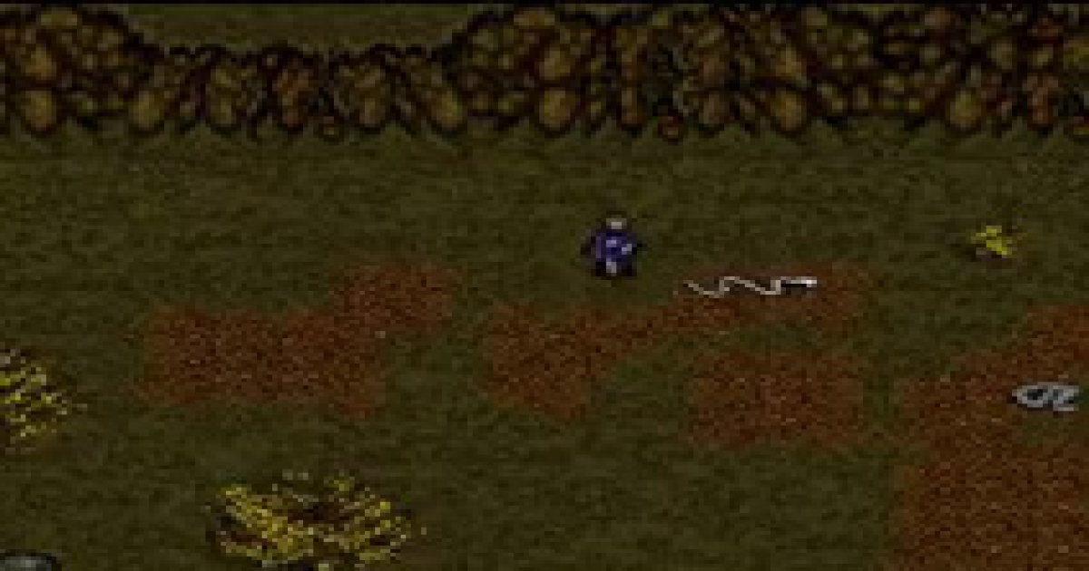 J.R.R. Tolkien's The Lord of the Rings - Volume 1 (USA) emulator for ...