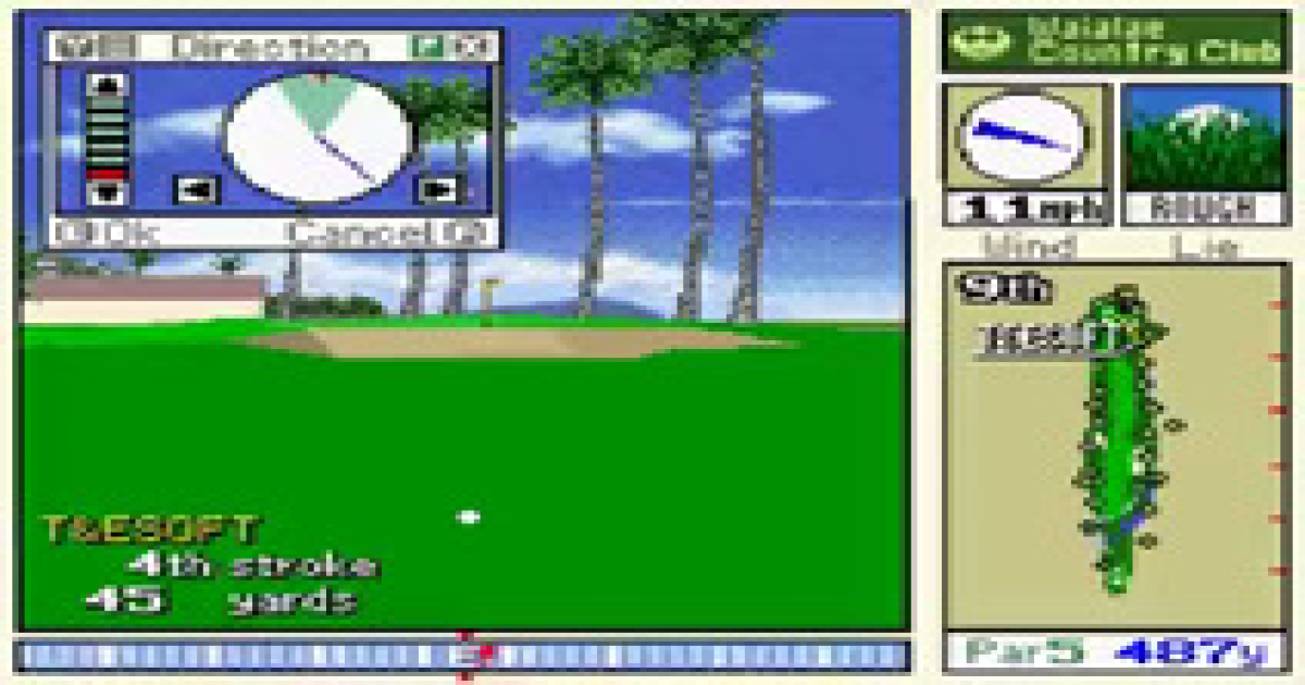 True Golf Classics - Waialae Country Club (USA) emulator for Super ...