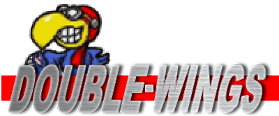 Double Wings - Arcade / Mame - Online Emulators