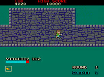 Dragon Buster - Arcade / Mame - Online Emulators